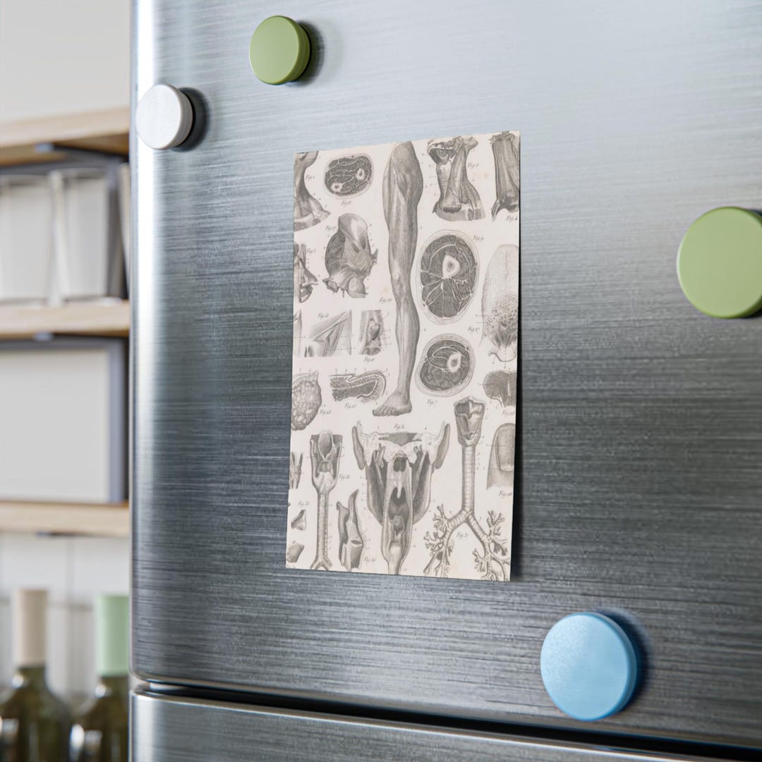 Vintage Anatomy Post-it Notes, Medical Stationery, Science Art - Etsy ...