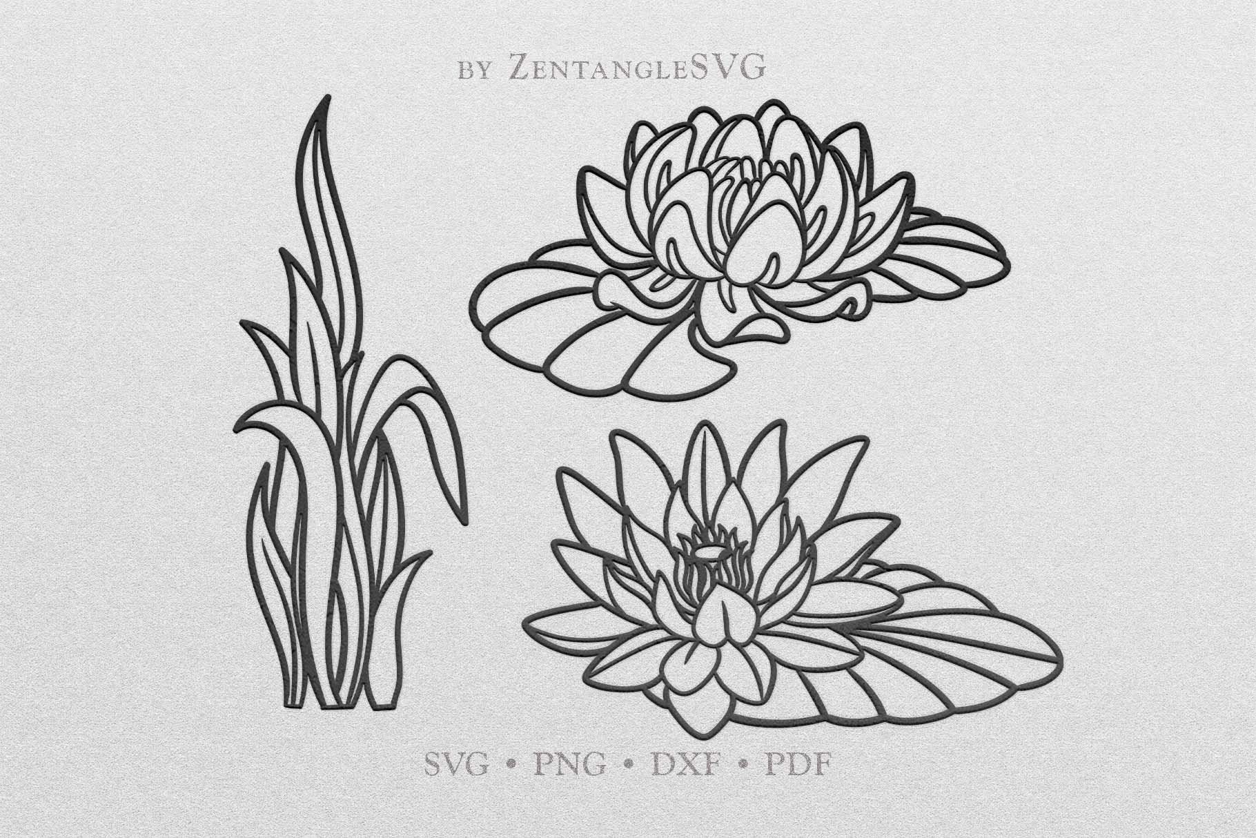 Simple Lily Pad Drawing