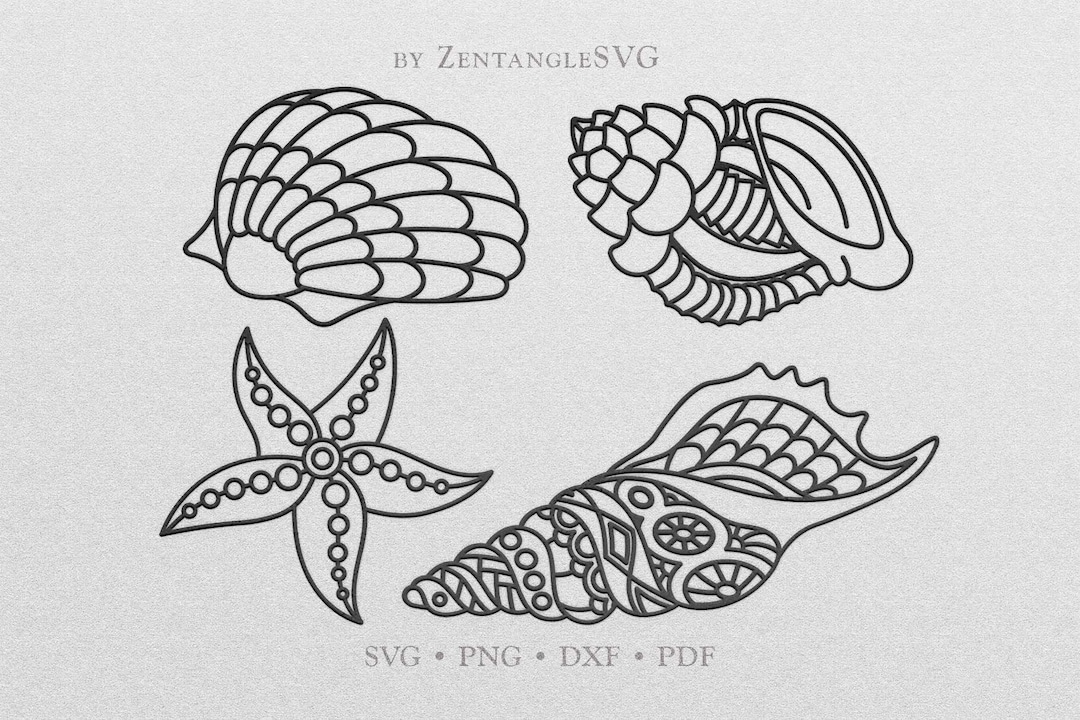 Shell Svg Bundle. Seashell Svg. Sea Shell Svg. Cricut, Silhouette Cut ...