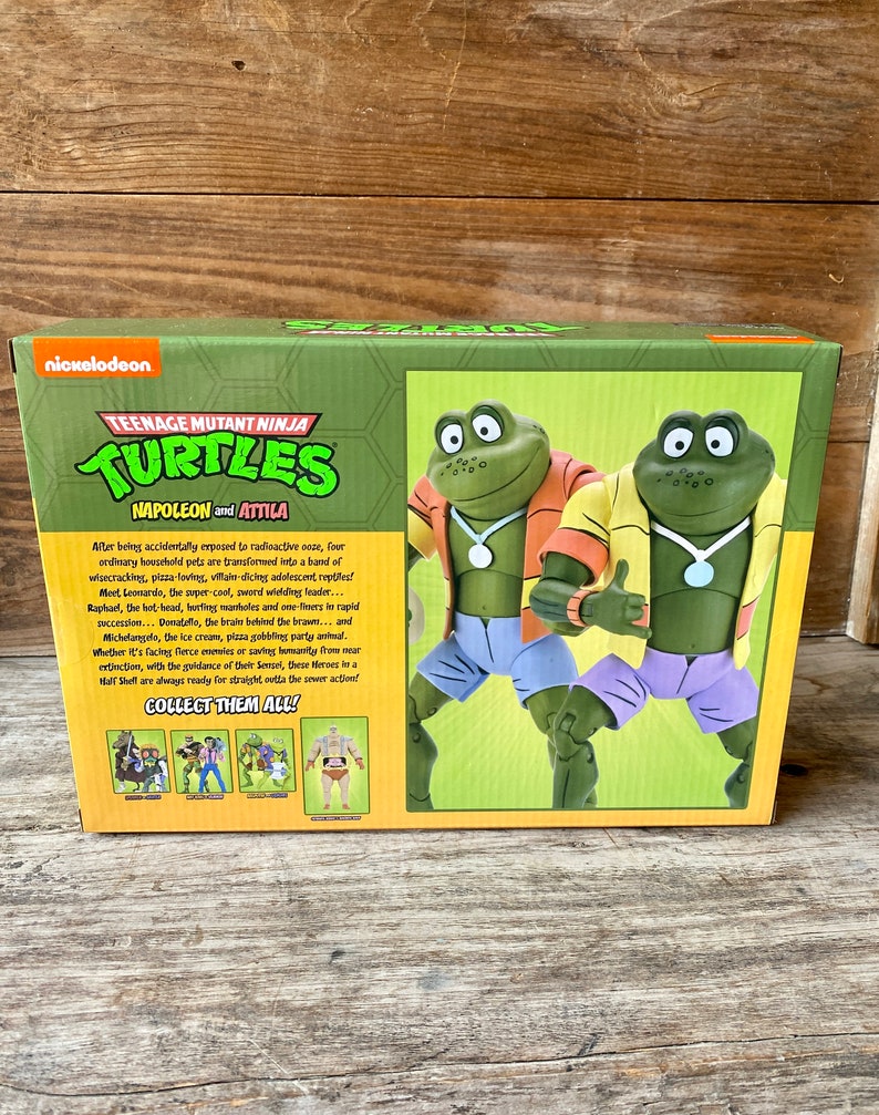 Nickelodeon Teenage Mutant Ninja Turtles Napoleon and Attila 2 Pack ...