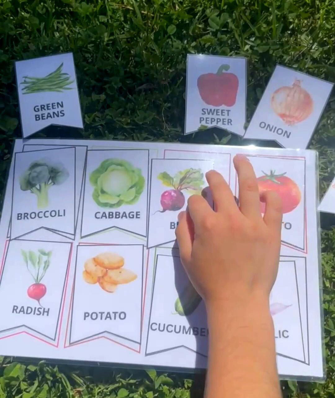 Fruit and Vegetable Flashcards, Printable Download, Set of 64 Cards ...