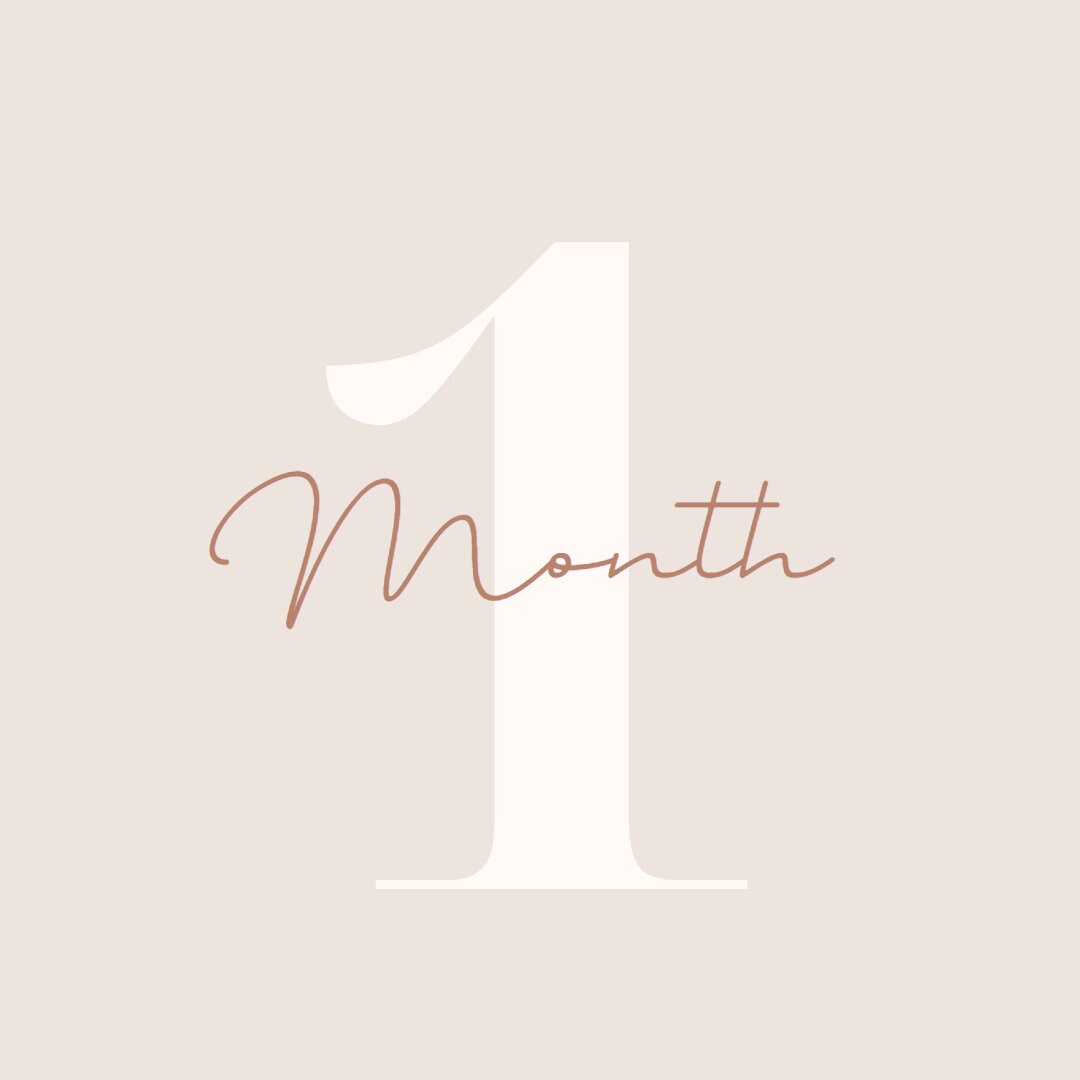 Baby Monthly Milestone Cards - Etsy