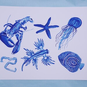 Sea Creatures Giclee Fine Art Print Blue Ink Fish Crab Sea Slug ...