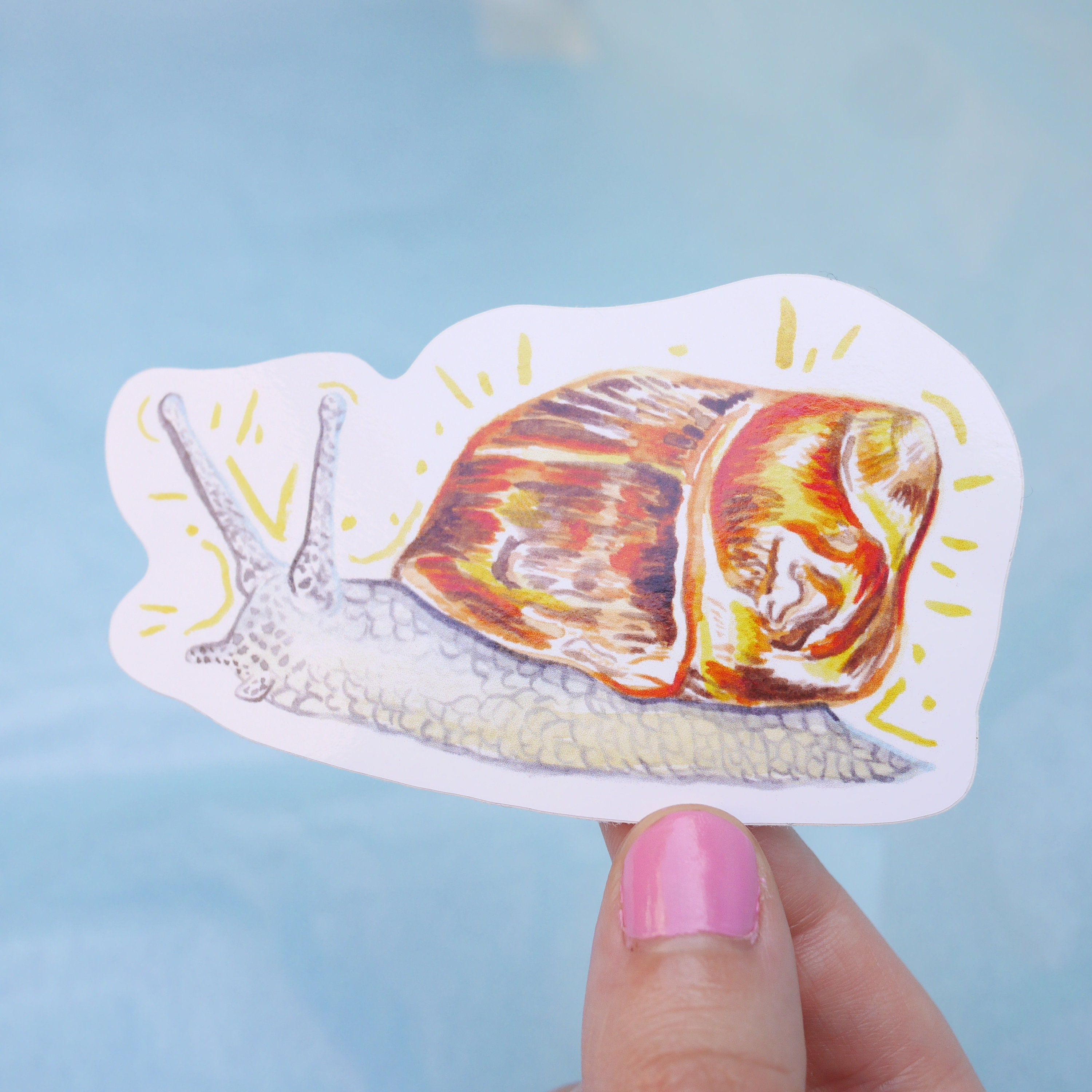 Snail Vinyl Sticker Cute Nature Watercolour Illustration Laptop ...