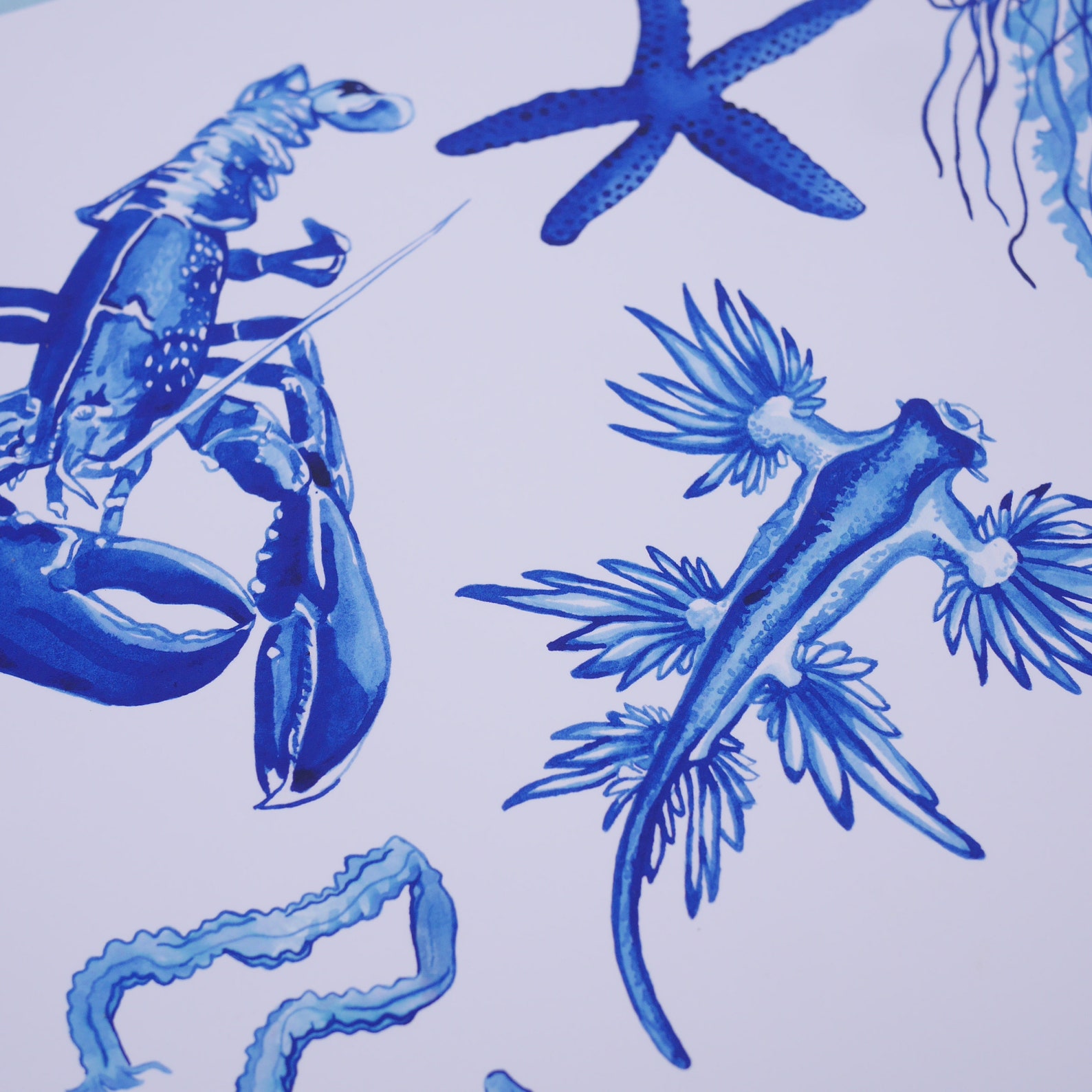 Sea Creatures Giclee Fine Art Print Blue Ink Fish Crab Sea Slug ...