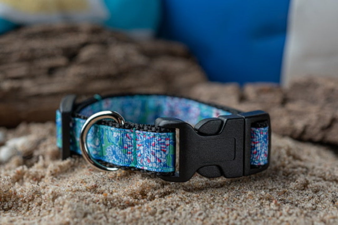 Bright & Beachy 3/4” Dog Collar - Etsy