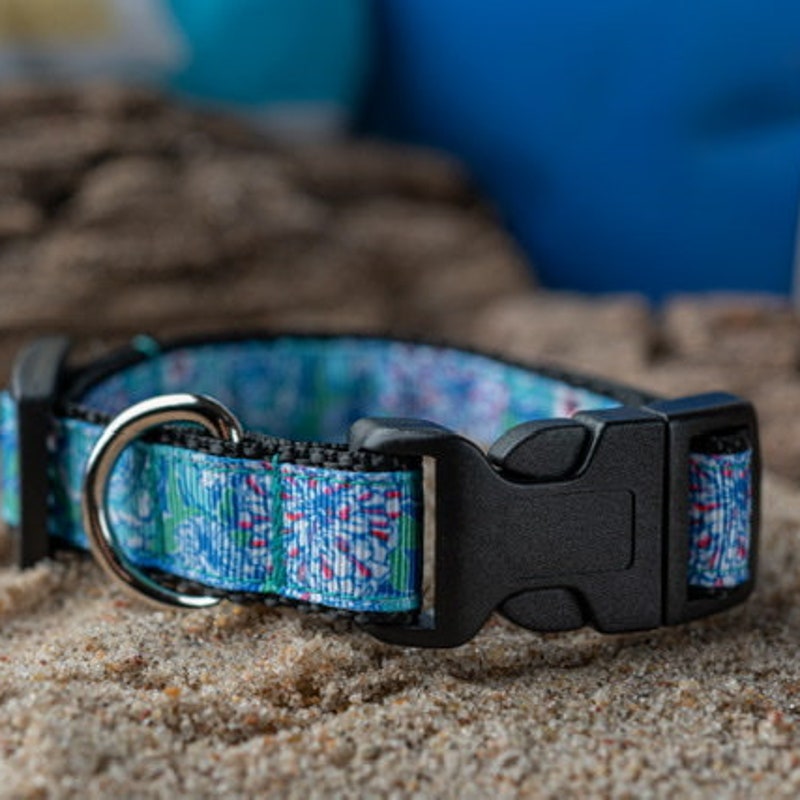 Fun Dog Collar - Etsy