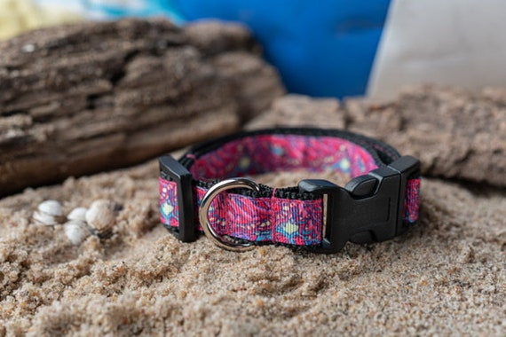 Bright & Beachy 3/4 Dog Collar - Etsy
