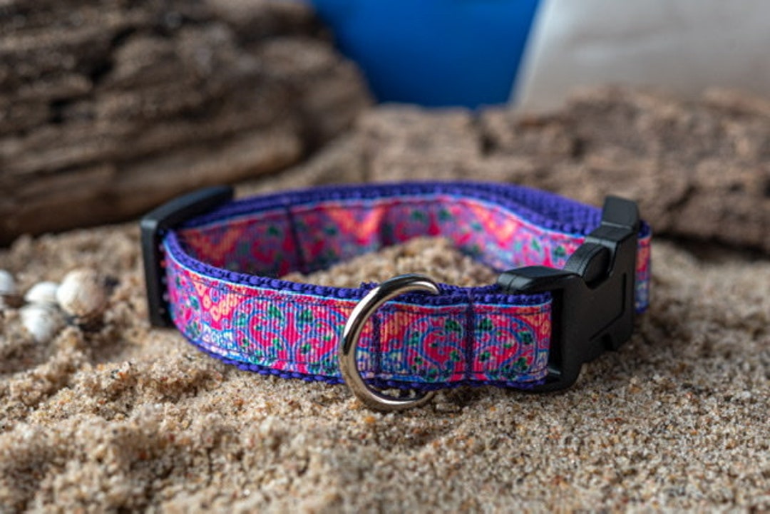 Bright & Beachy 1” Dog Collar - Etsy