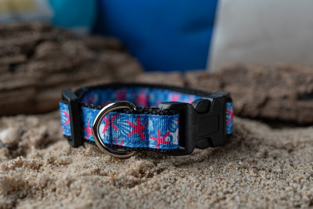 Bright & Beachy 3/4” Dog Collar - Etsy