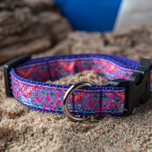 Fun Dog Collar - Etsy