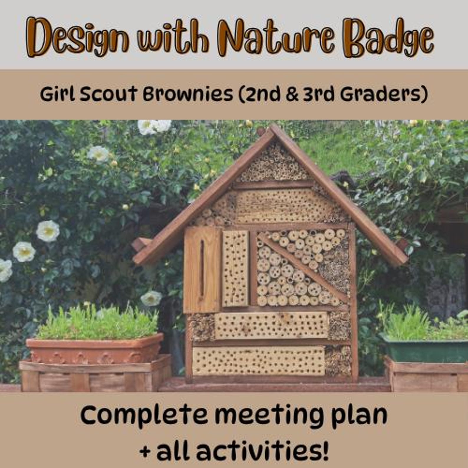 Brownies Design With Nature Badge | Complete Meeting Plans & Activities | Scout Leader | Scout ...