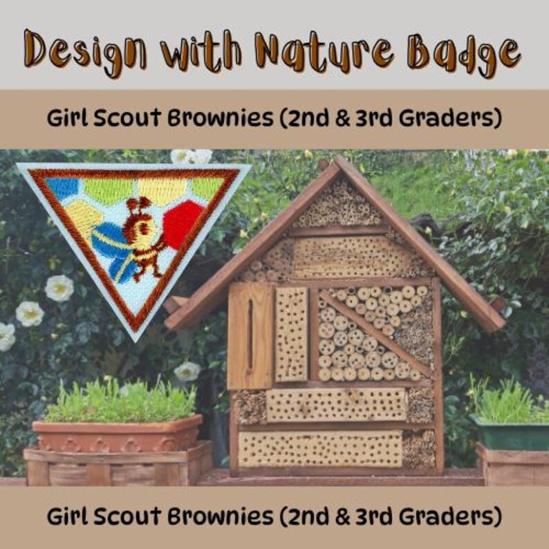 Brownies Design With Nature Badge | Complete Meeting Plans & Activities ...
