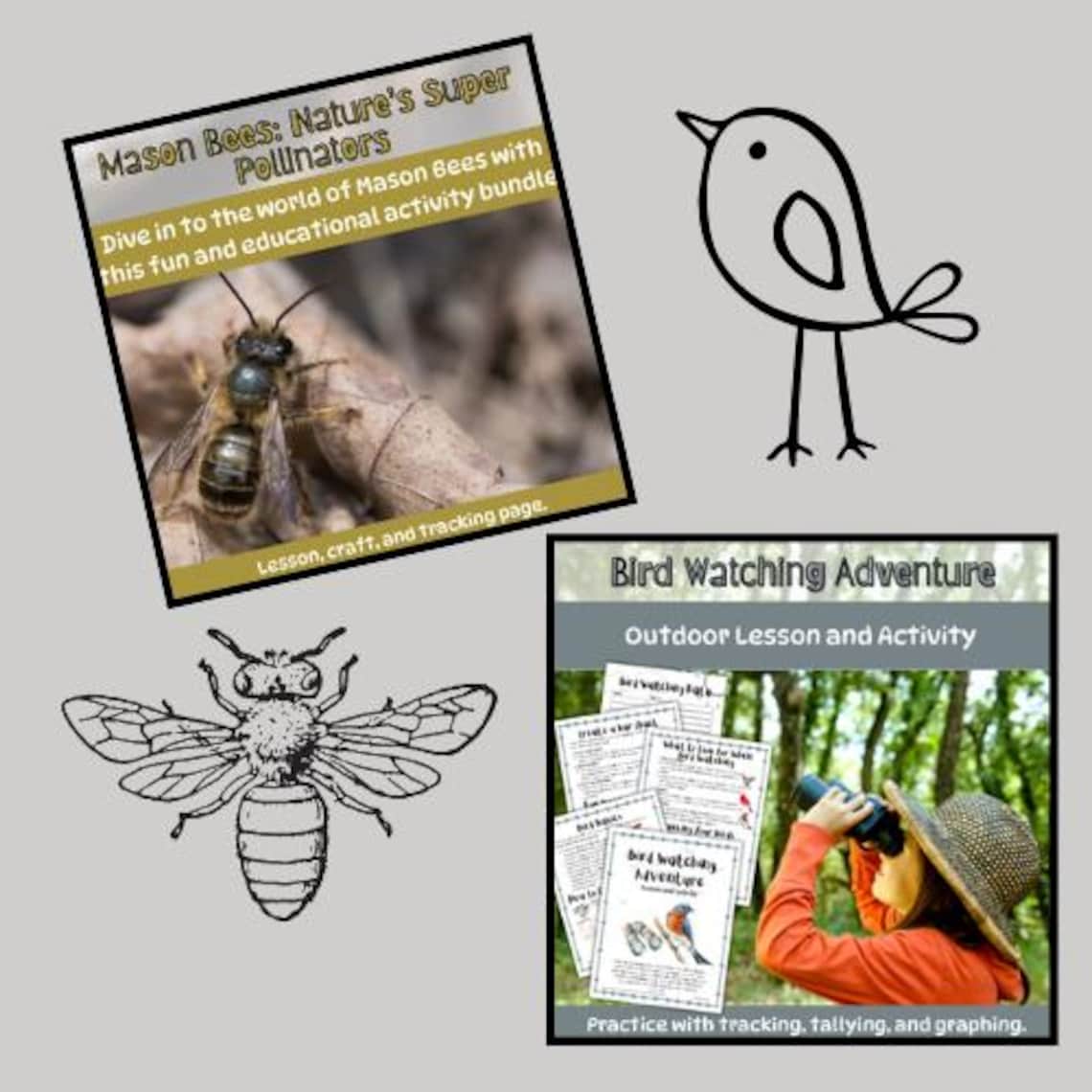 Brownies Design With Nature Badge | Complete Meeting Plans & Activities ...