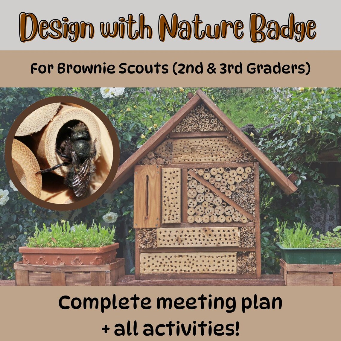 Brownies Design With Nature Badge | Complete Meeting Plans & Activities ...