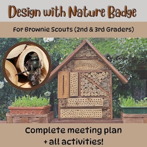 Brownies Design With Nature Badge | Complete Meeting Plans & Activities ...
