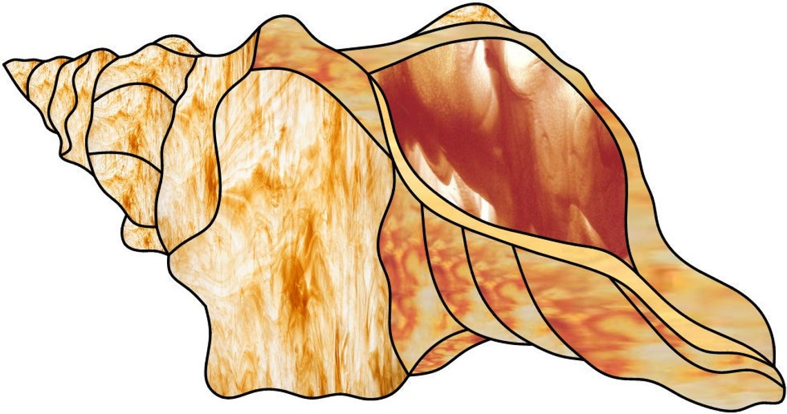 Conch Shell Glass Pattern - Etsy