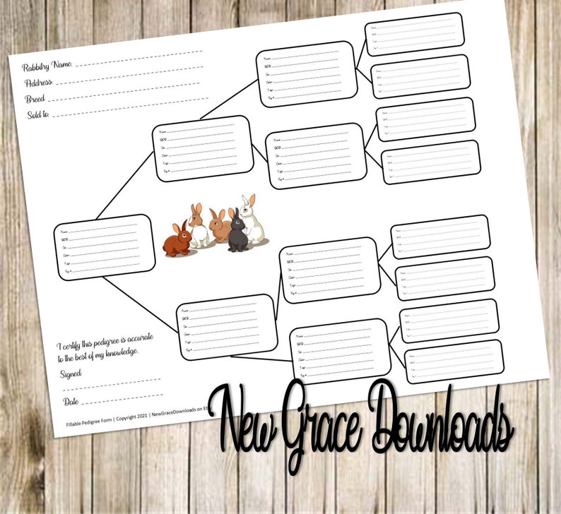 rabbit-pedigree-template-writable-rabbit-pedigree-printable-etsy-canada