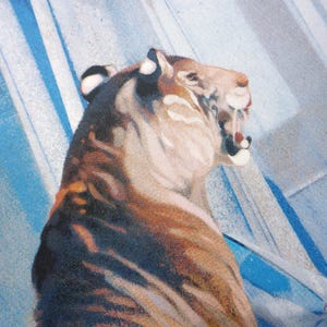 The Blue Room, A3 Screenprint, Tiger Illustration - Etsy