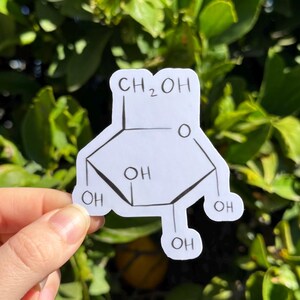Glucose Molecule Sticker | Nutrition Science Sticker Dietitian Sticker ...