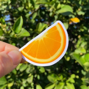 Orange Slice Sticker | Orange Fruit Stickers Food Nutrition for Health ...
