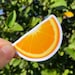Orange Slice Sticker | Orange Fruit Stickers Food Nutrition for Health ...