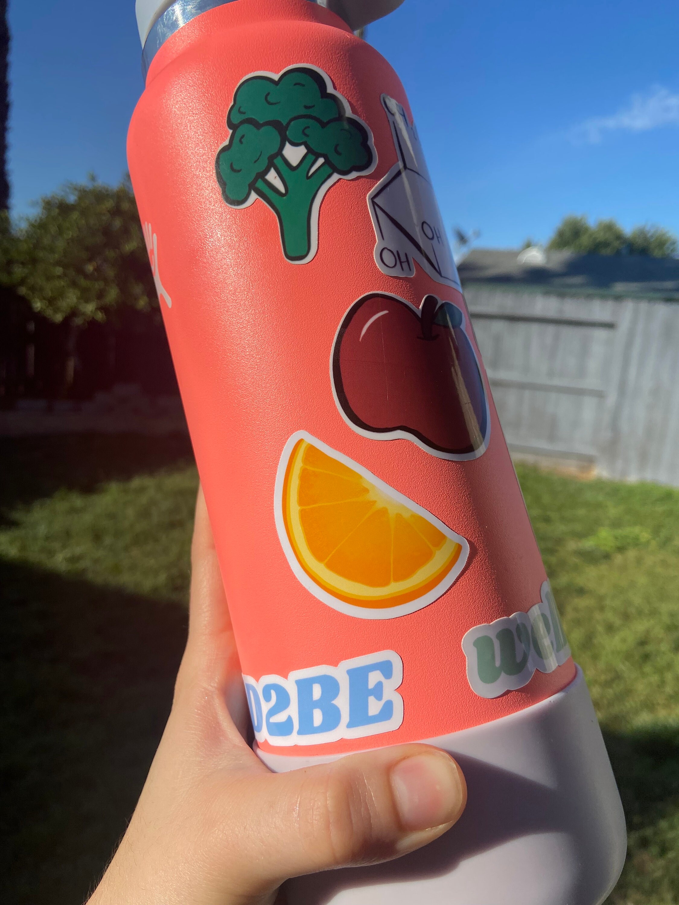 Orange Slice Sticker Orange Fruit Stickers Food Nutrition - Etsy