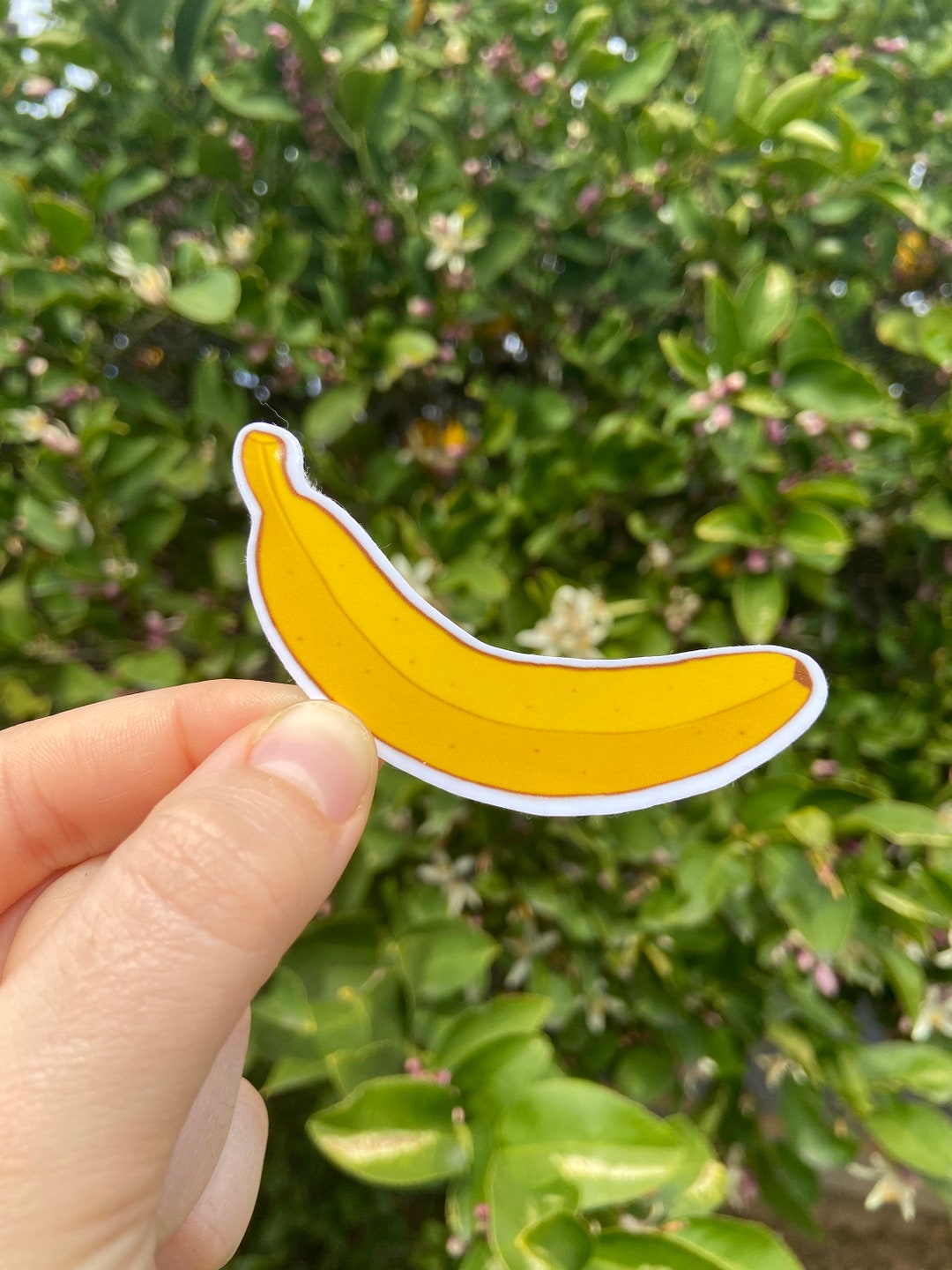 Banana Sticker | Dietitian Stickers, Yellow Banana Decal Food Nutrition ...