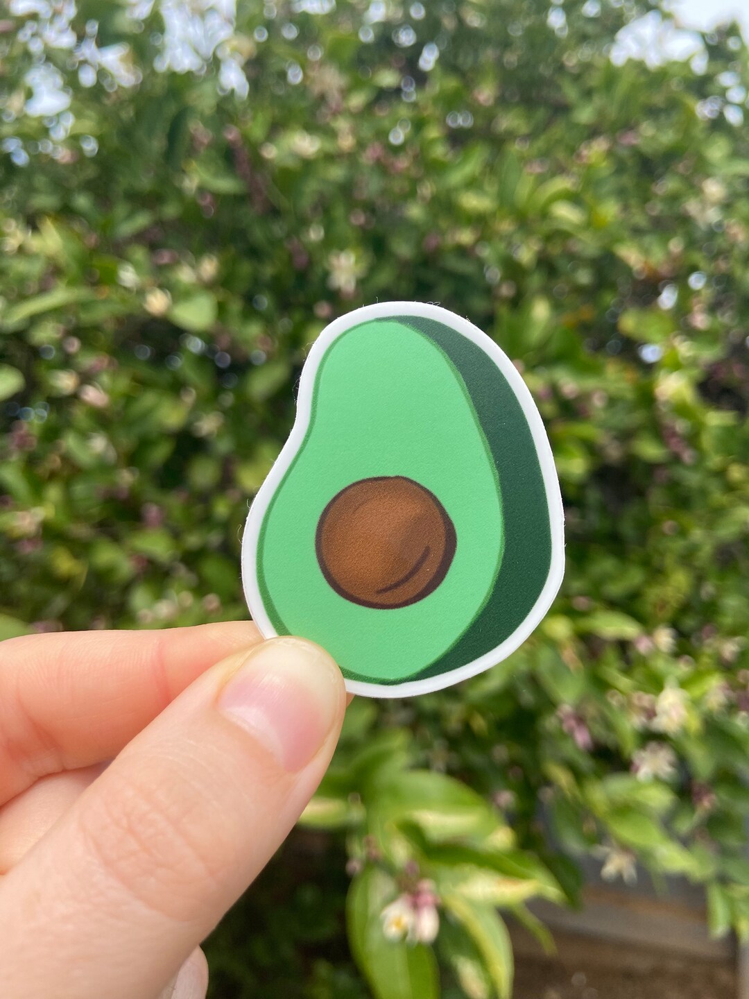 Avocado Sticker | Green Avocado Drawing Food Nutrition Sticker ...