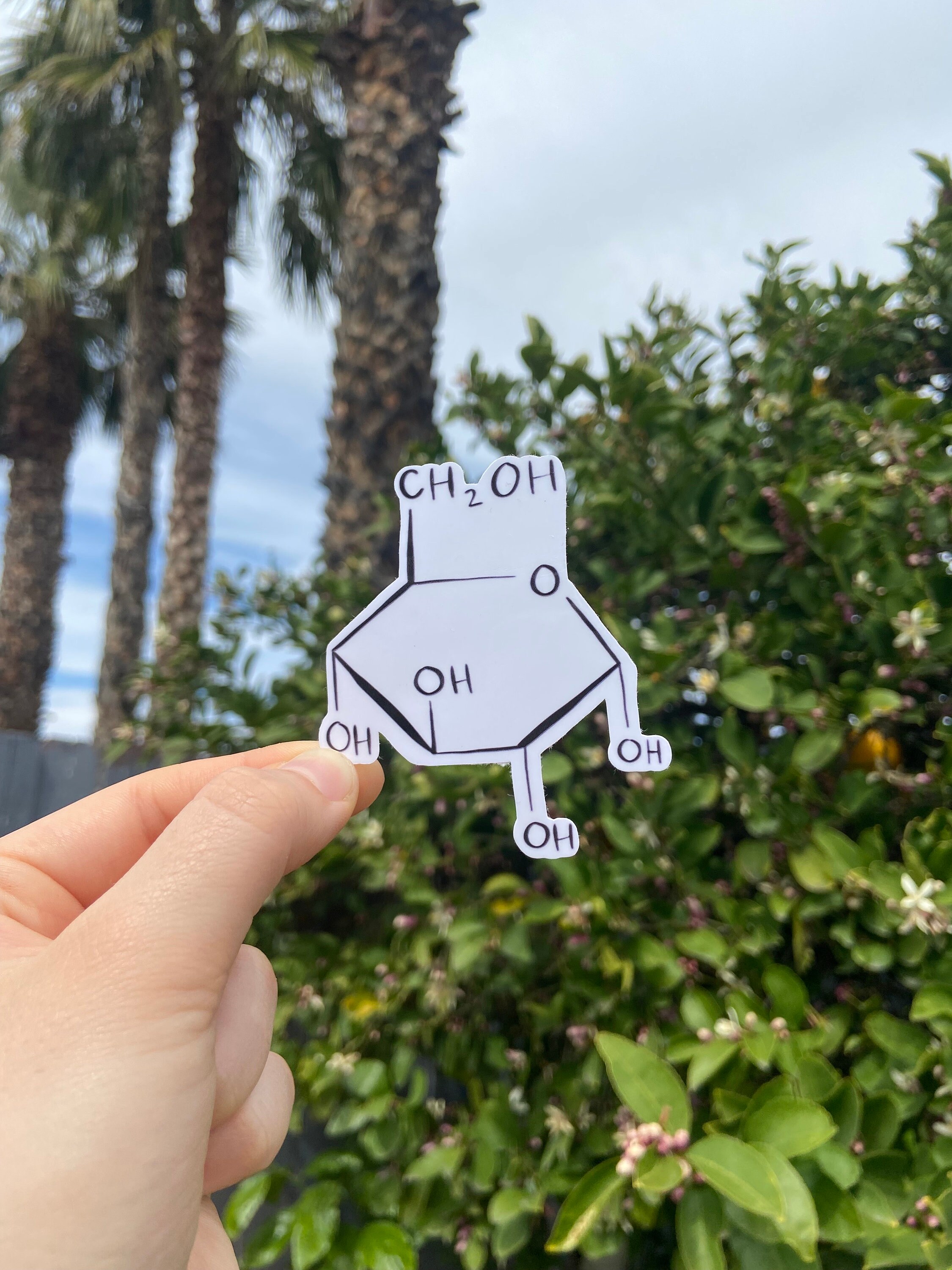 Glucose Molecule Sticker Nutrition Science Sticker Dietitian Sticker ...