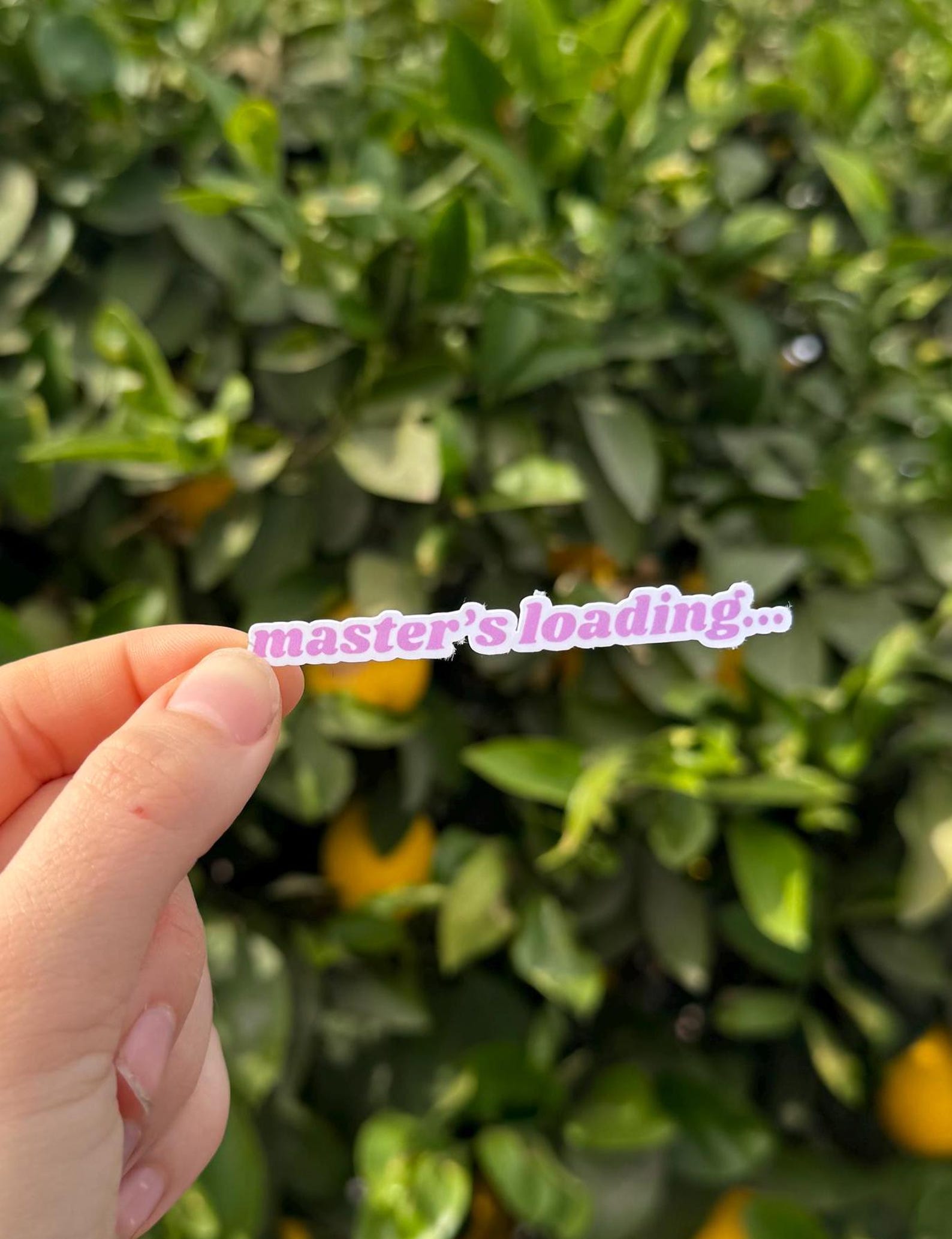 Degree Loading Sticker | Bachelor’s Master’s Phd Cute in Progress ...