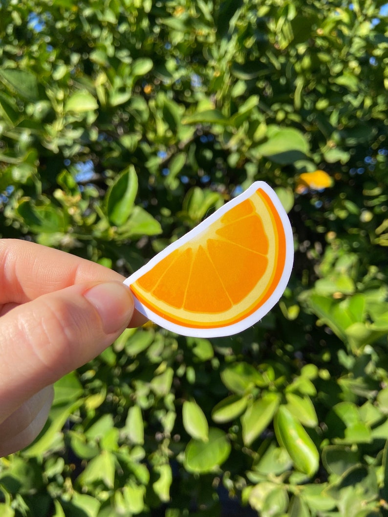 Orange Slice Sticker Orange Fruit Stickers Food Nutrition for Health ...
