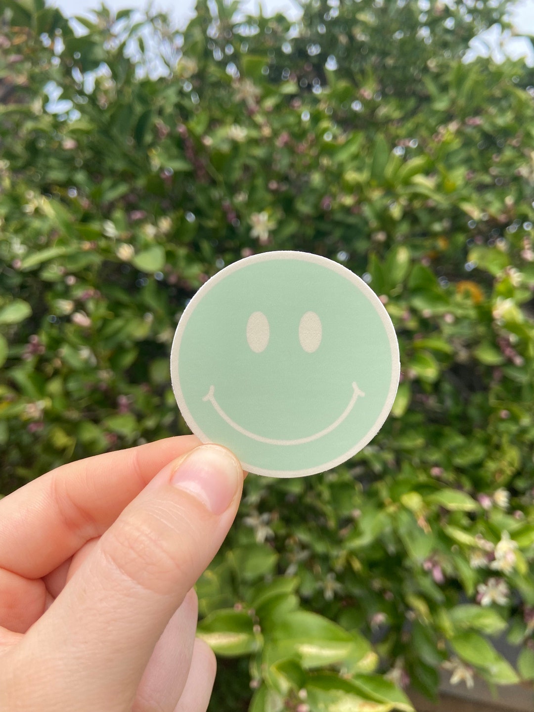 Smiley Face Sticker | Green and Pink Smiley Sticker Happy Face Sticker ...