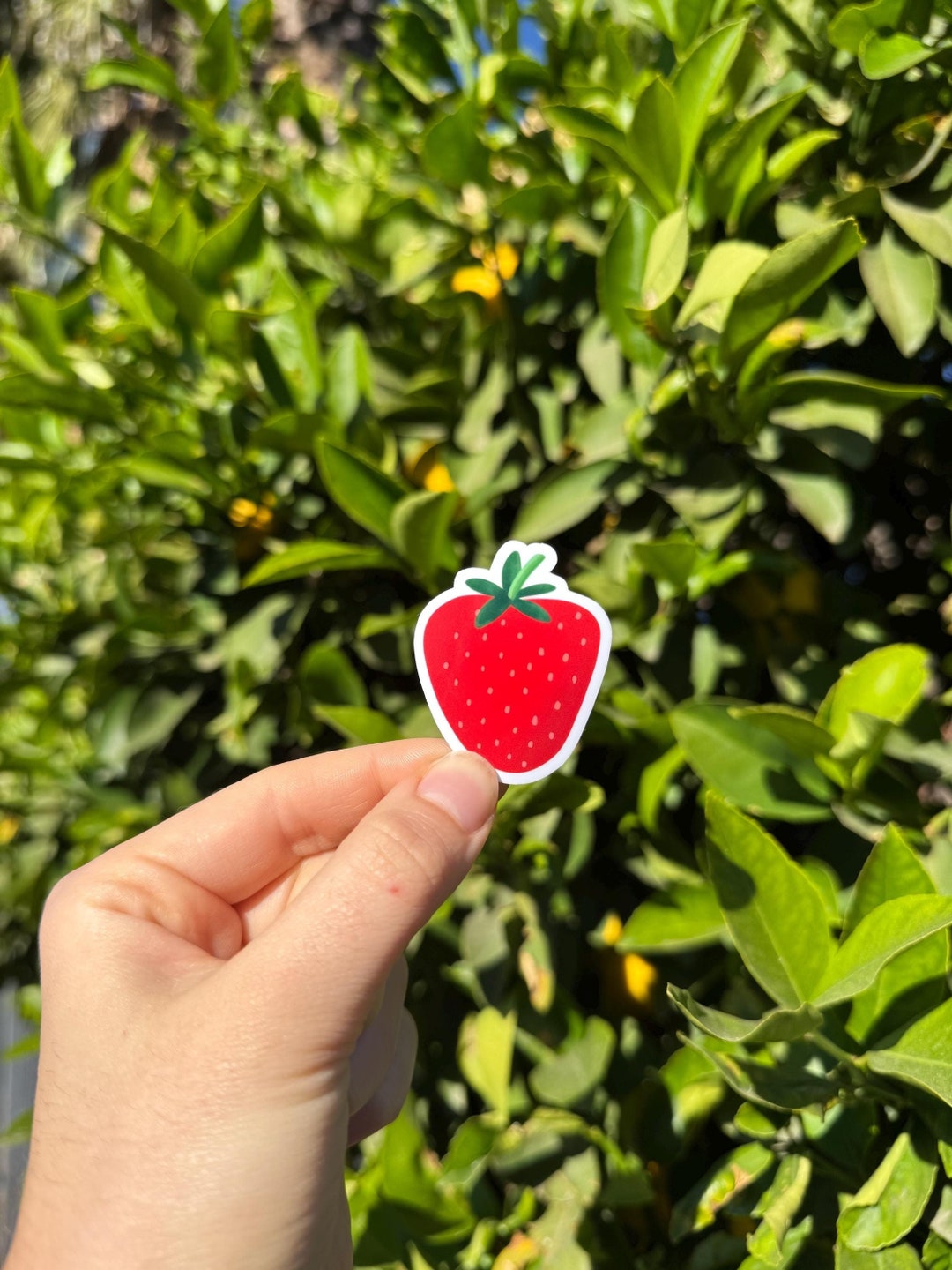 Strawberry Sticker | Cute Fruit Sticker Nutrition Present for Dietitian ...