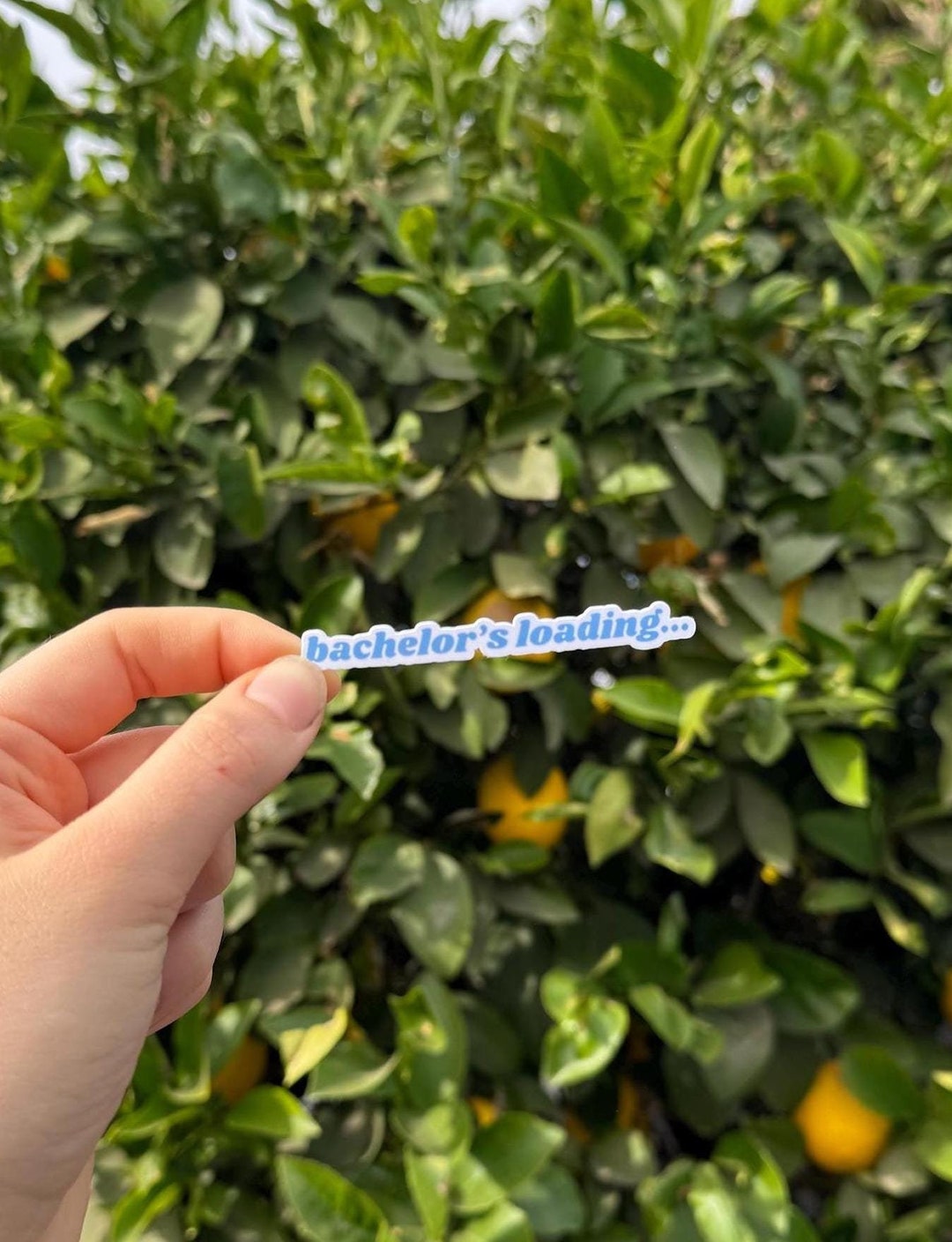 Degree Loading Sticker | Bachelor’s Master’s Phd Cute in Progress ...