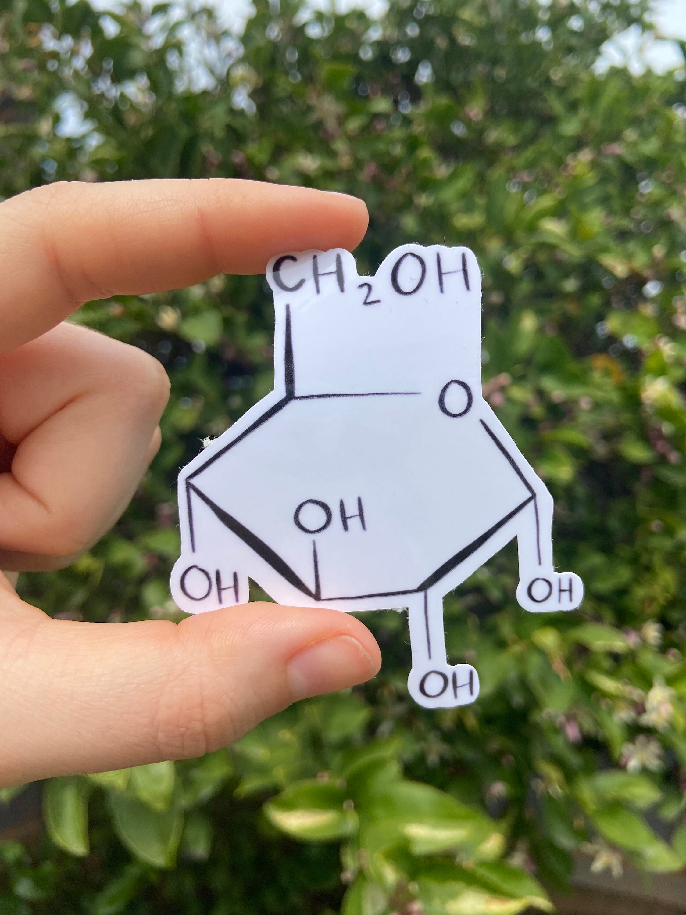 Glucose Molecule Sticker Nutrition Science Sticker Dietitian Sticker ...