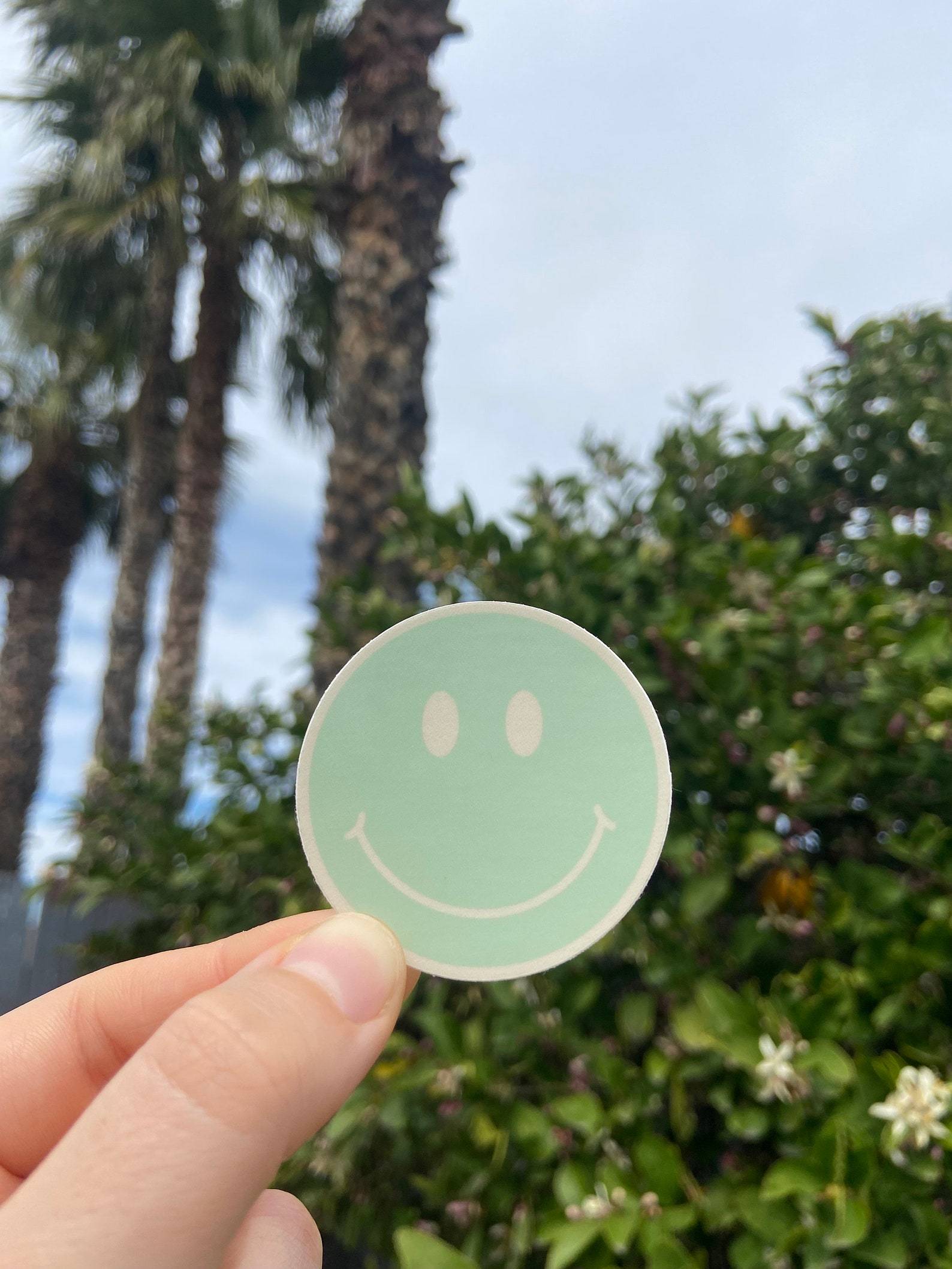 Smiley Face Sticker Green and Pink Smiley Sticker Happy Face Sticker ...