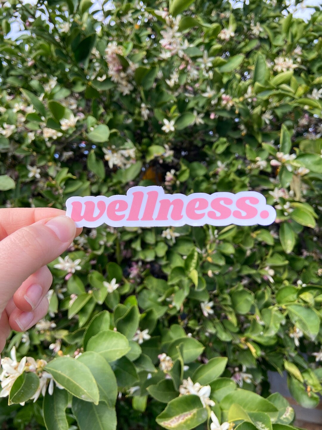 Wellness Sticker | Fitness Stickers for Her Laptop Decal Health is ...