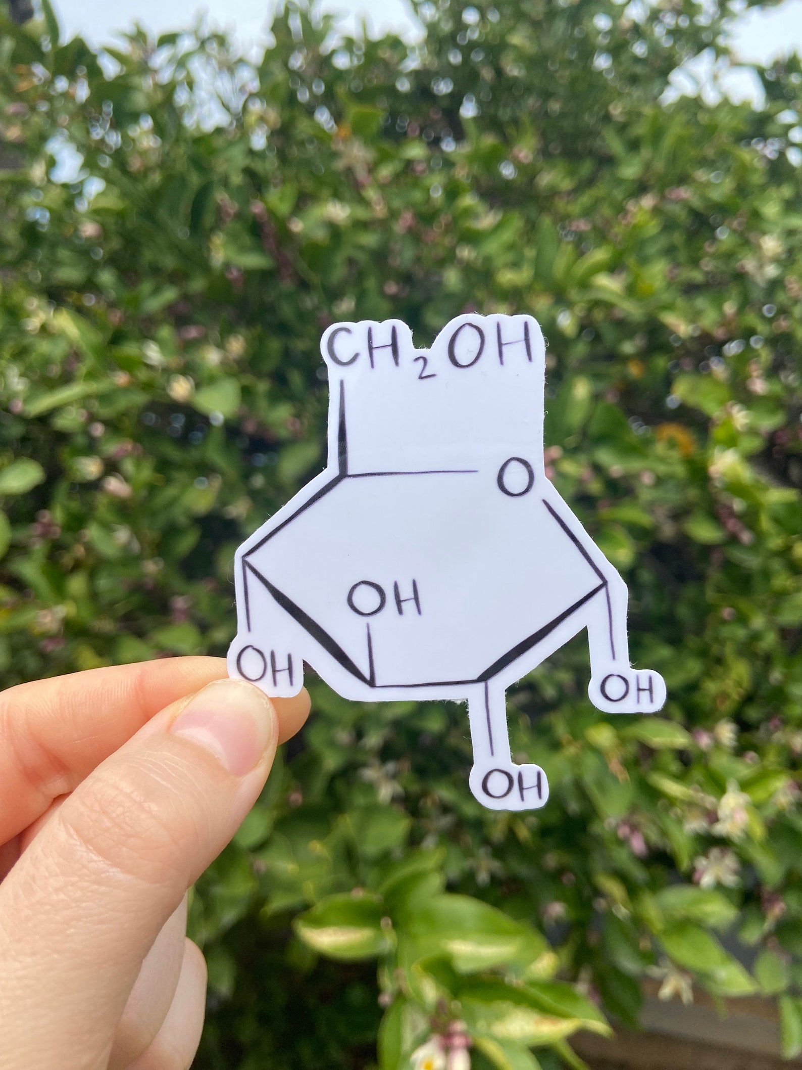 Glucose Molecule Sticker Nutrition Science Sticker Dietitian Sticker ...