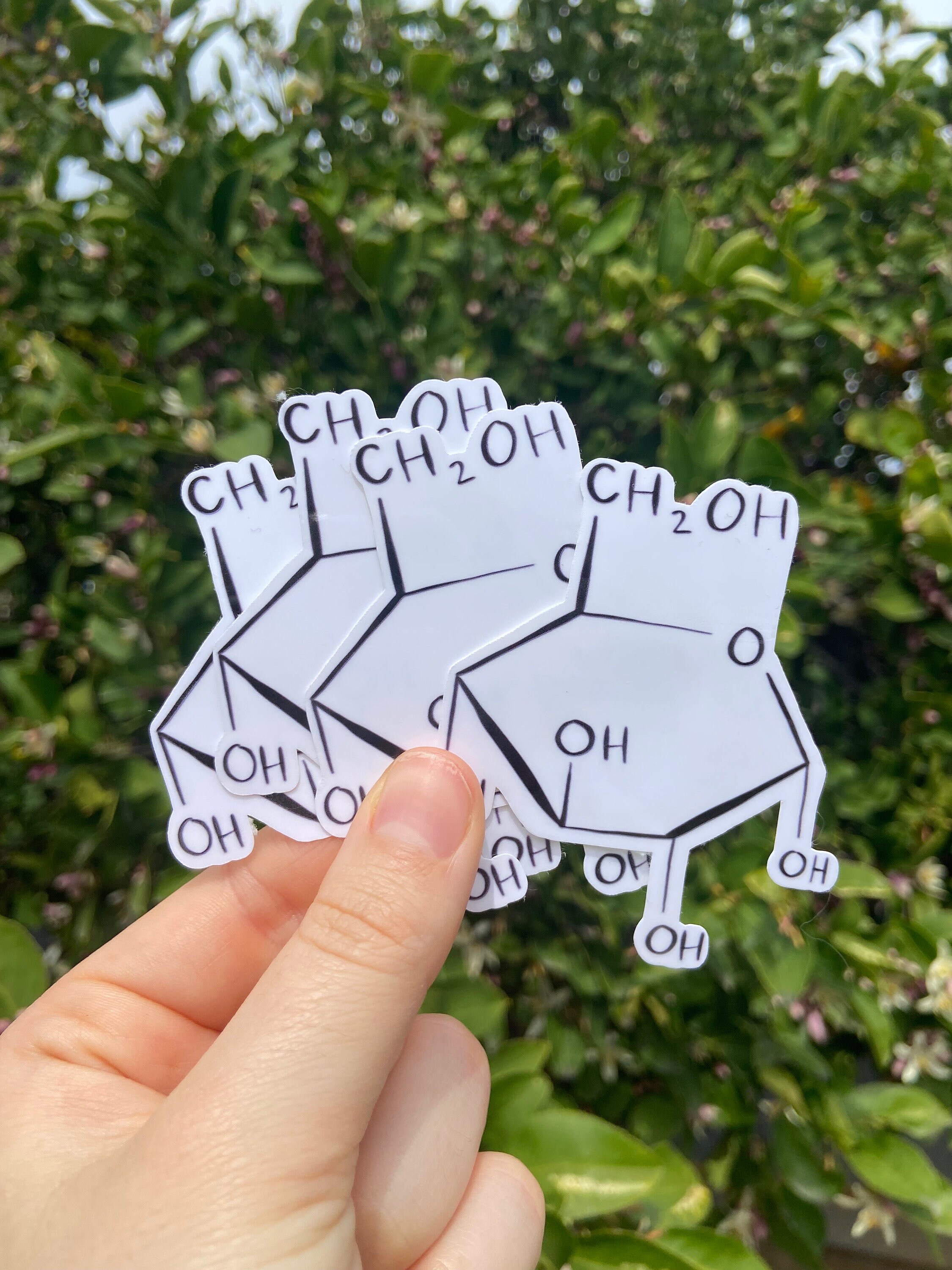 Glucose Molecule Sticker Nutrition Science Sticker Dietitian Sticker ...