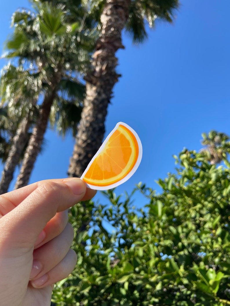 Orange Slice Sticker | Orange Fruit Stickers Food Nutrition for Health ...