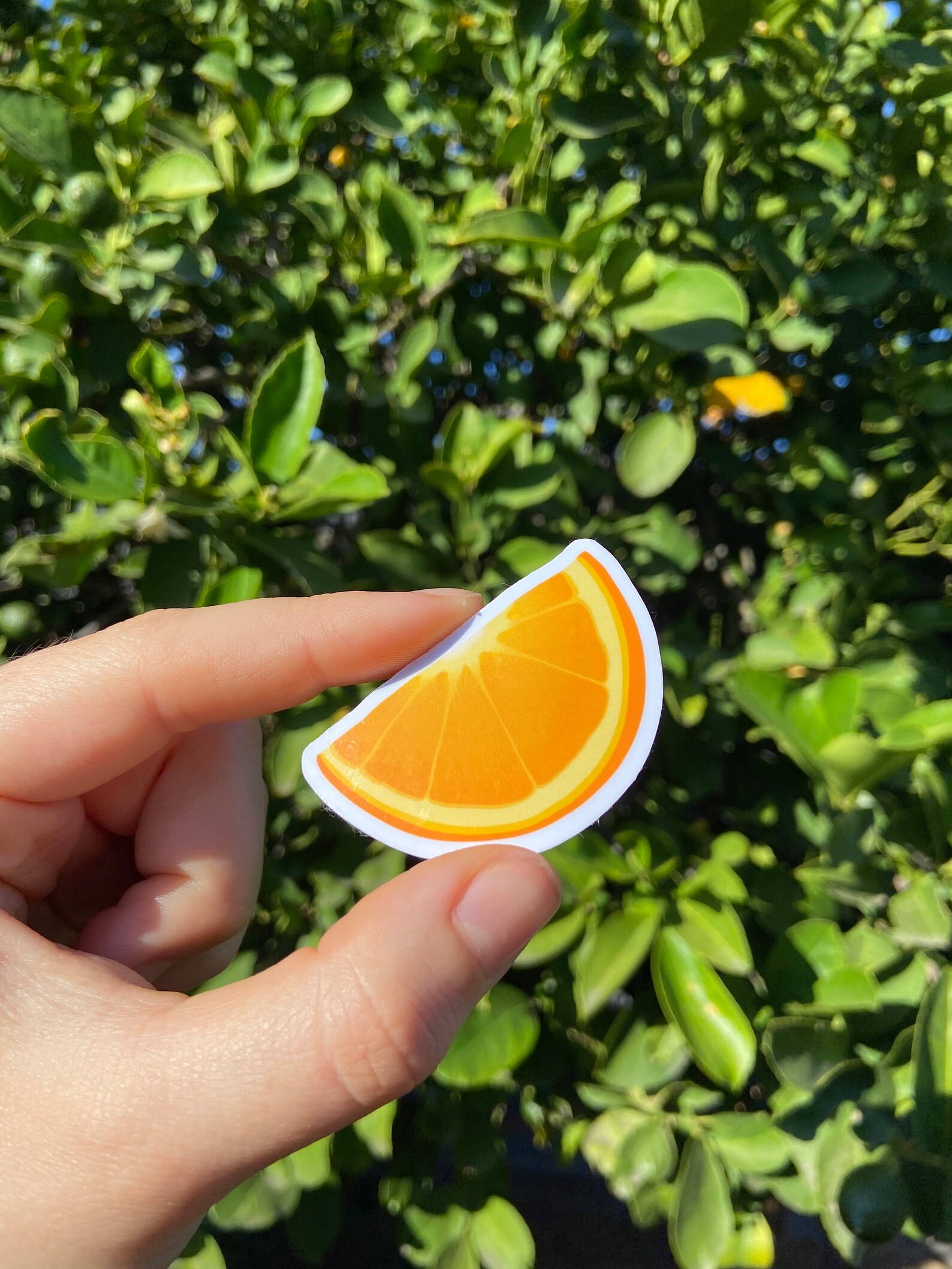 Orange Slice Sticker Orange Fruit Stickers Food Nutrition - Etsy