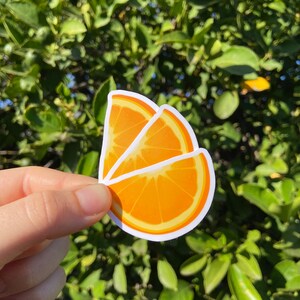 Orange Slice Sticker | Orange Fruit Stickers Food Nutrition for Health ...