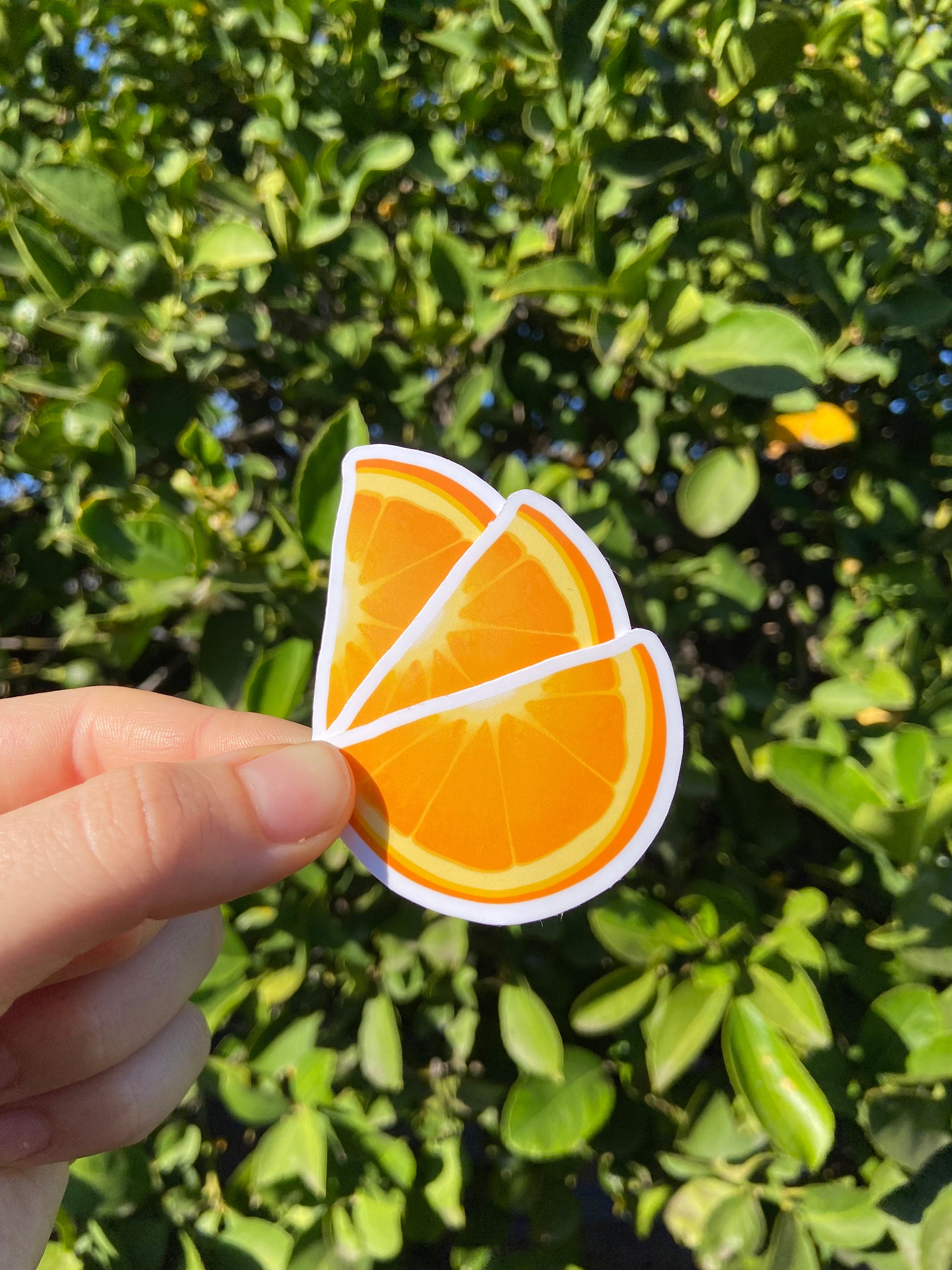 Orange Slice Sticker Orange Fruit Stickers Food Nutrition - Etsy