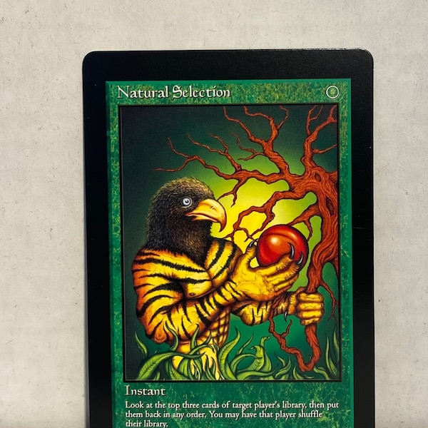 Natural Selection - Etsy