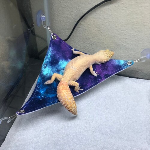 Small Reptile Hammock Gecko Hammock Padded Reptile Hammock - Etsy