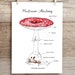Mushroom Anatomy, Cap Types Poster, & Flashcards - Etsy