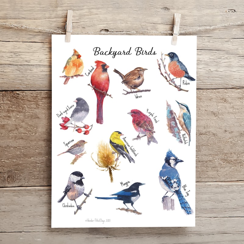Bird Poster - Etsy