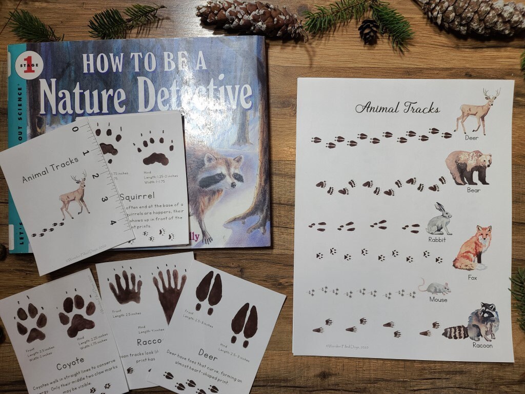 Animal Tracks Cards & Poster - Etsy