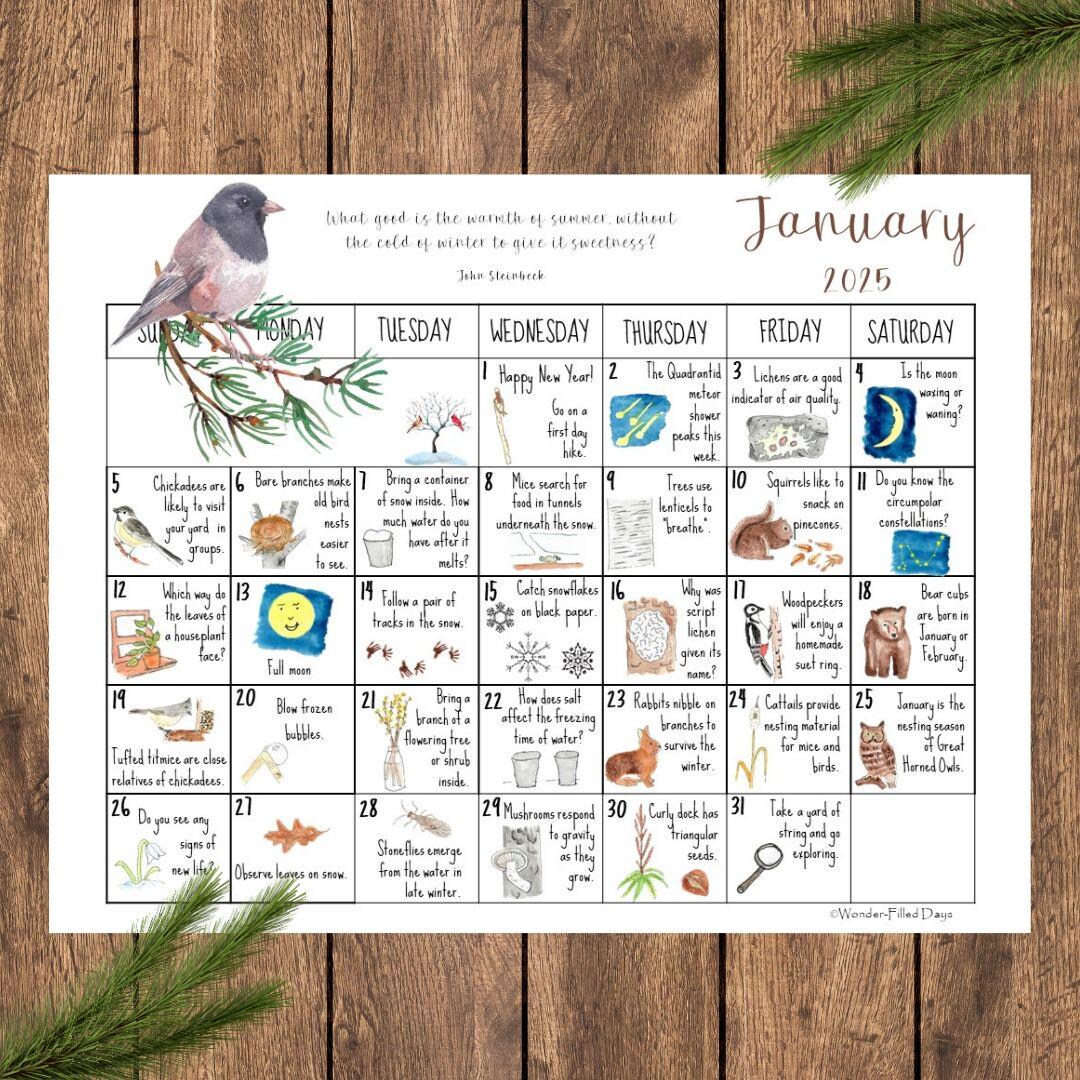 2025 Wonder-filled Days Nature Calendar (hard Copy) - Etsy